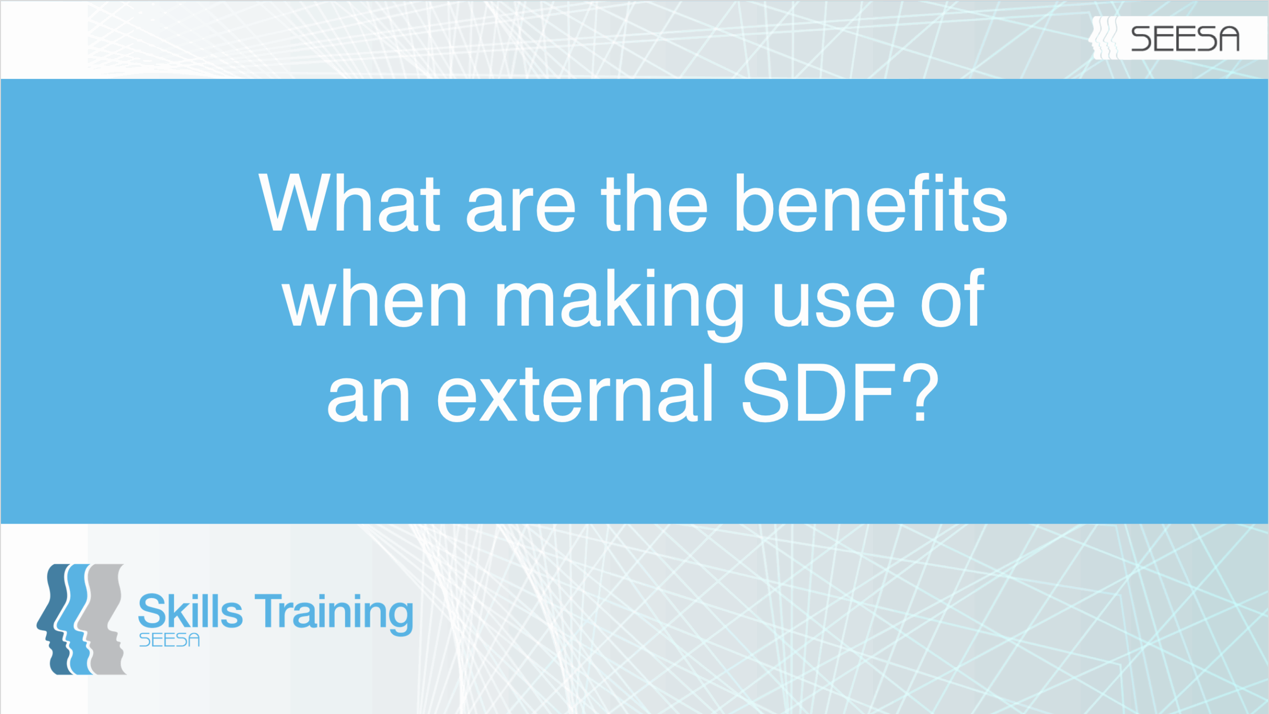 What are the benefits when making use of an external Skills Development ...